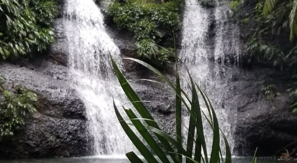 Reserva Natural El Venado - Buenventura Valle del Cauca - Viajes y ...